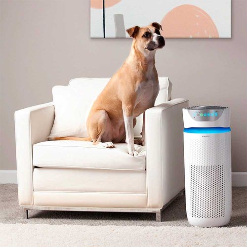 Purificador de Aire TotalClean 5-en-1 UV-C: Respira un Aire Más Limpio ...